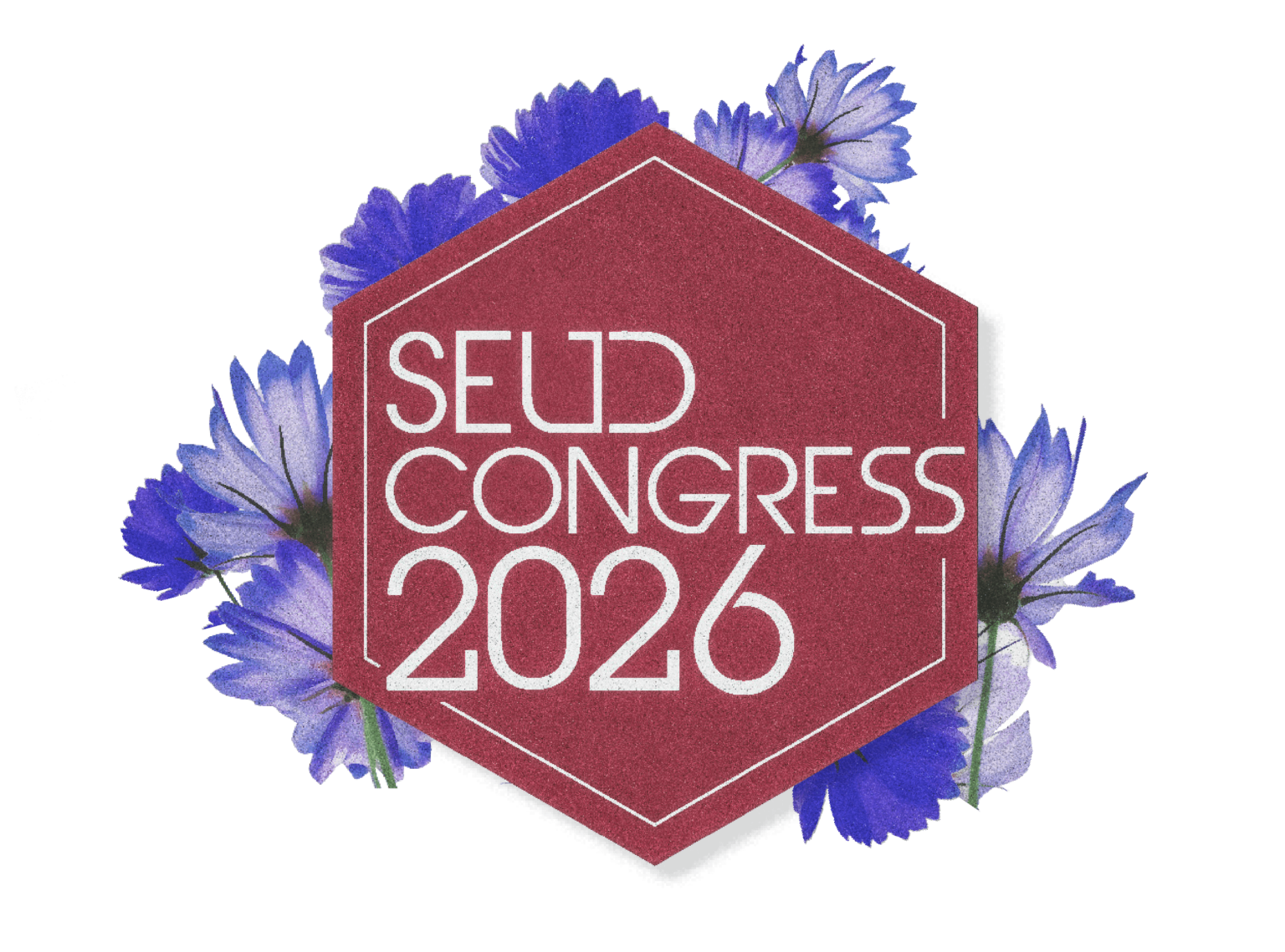 Home 2026 - SEUD Congress